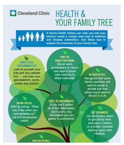 How to Create Linkable Assets: Boost Your Link-Building Strategy